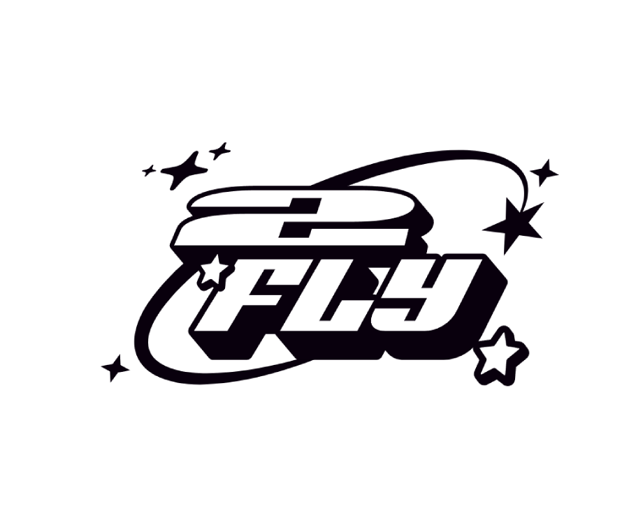 High Quality 2Fly clothing heavy streetwear – ZachsProducts